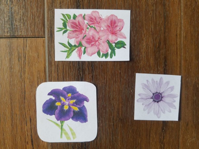 10 Easy Steps to Make Stickers with Wax Paper and Tape 2025