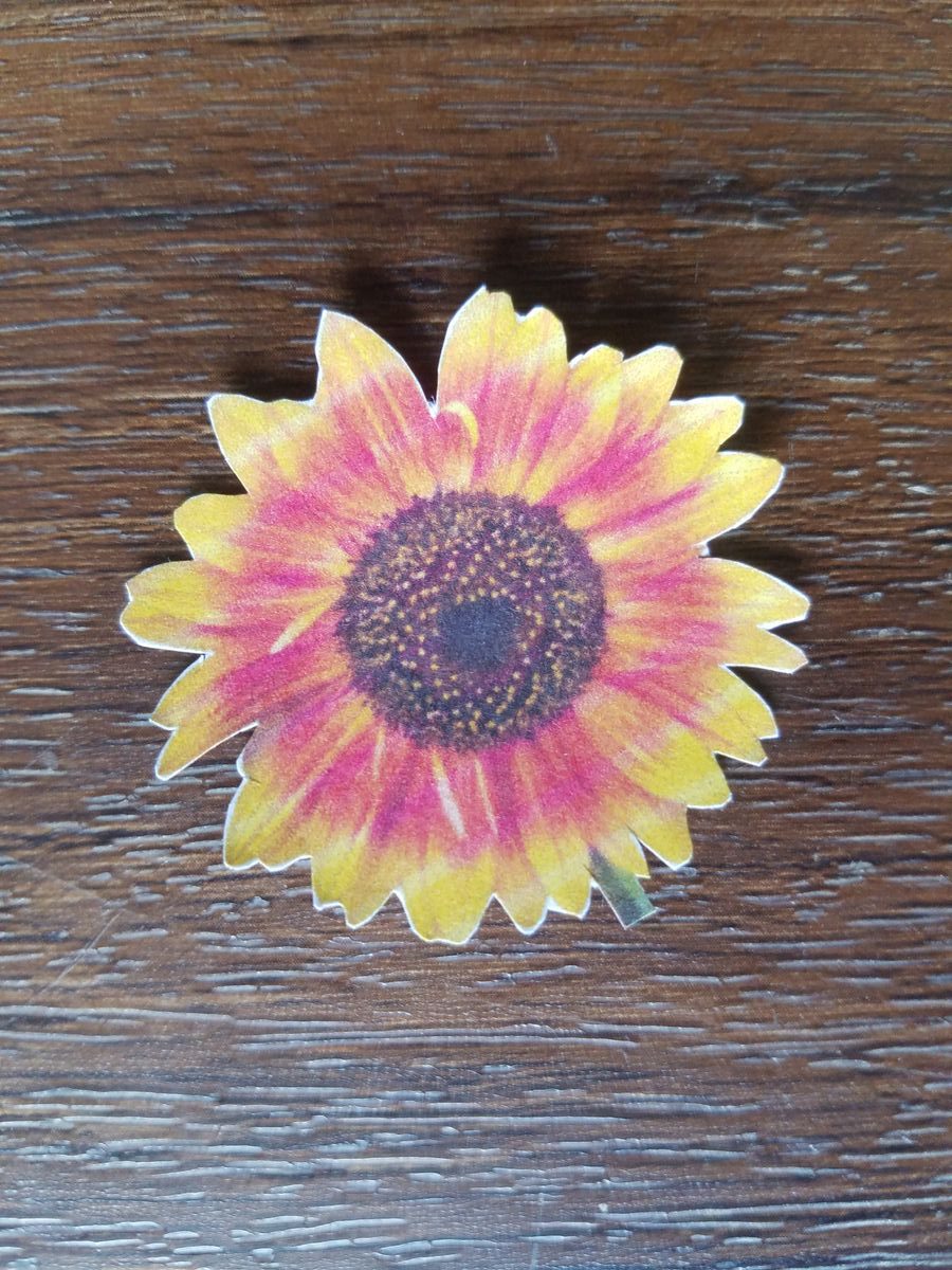 10 Easy Steps to Make Stickers with Wax Paper and Tape 2025